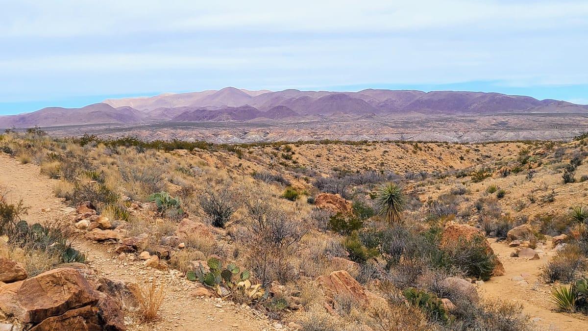 Anthony C Vicari - Brighter on Wheels